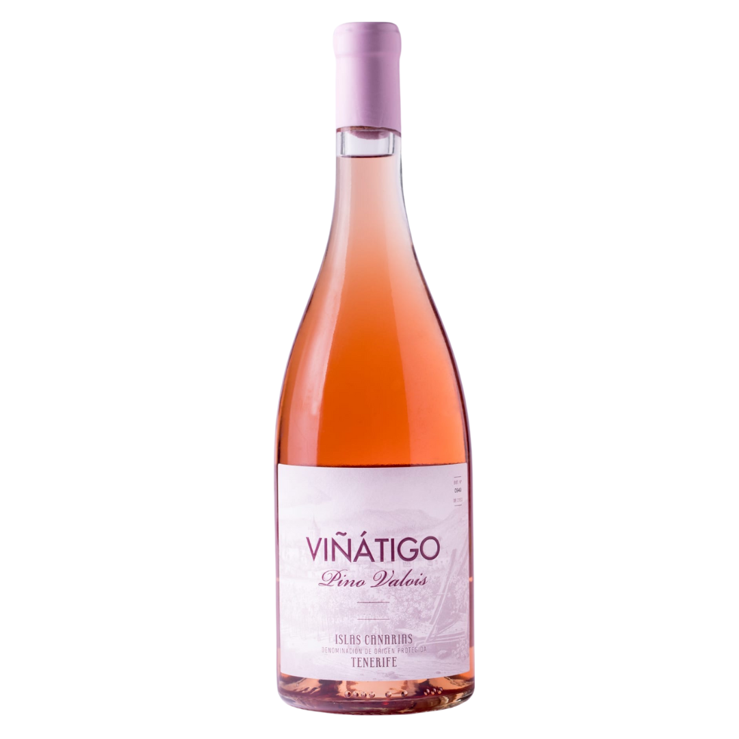 Viñátigo Vino de Parcela Pino Valois 2023 – Nicholas Pearce Wines Inc